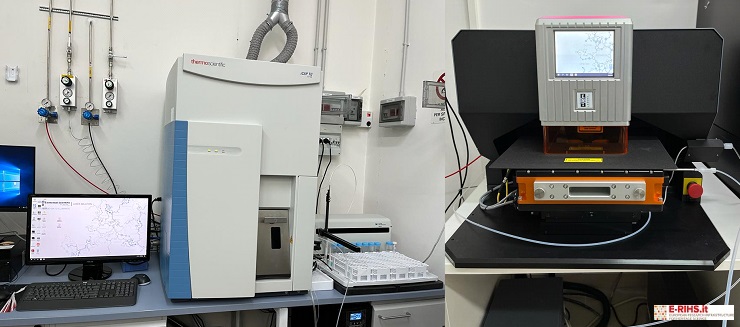 iCAP™ TQ ICP-MS spectrometer (Thermo-Fisher Scientific) coupled to ...